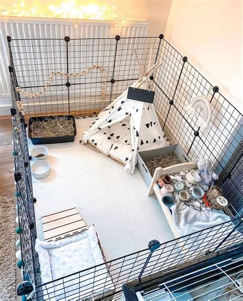 Rabbit Enclosure Artofit