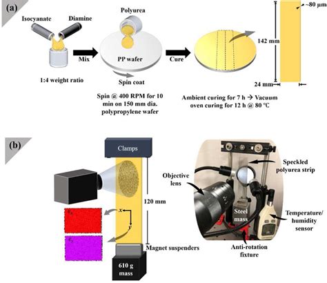 Schematic Of The A Fabrication Procedure Of The Polyurea Sheets From Download Scientific