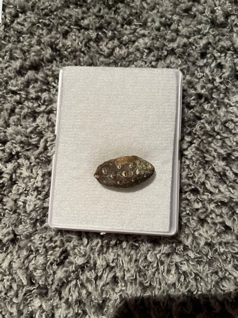 Is This A Fossilised Pine Cone Rfossilid