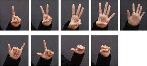 Researchers Introduce A New Hand Gesture Recognition Algorithm Combining Hand Type Adaptive