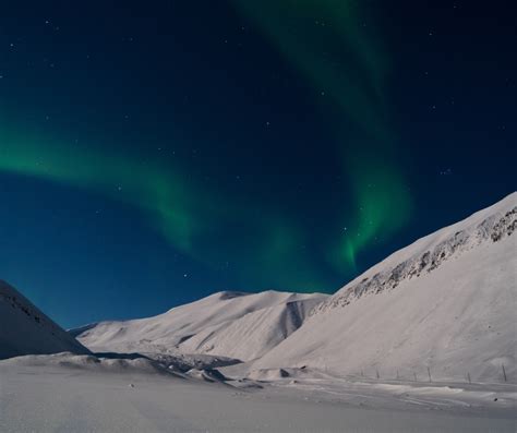 Svalbard Northern Lights Tours Svalbard Experts