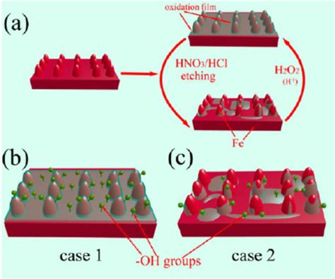 A Schematic View Of The Reacting Process Surface Hydroxyl On The Download Scientific Diagram