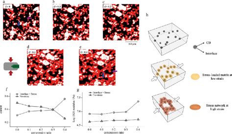 A−e Ternary Images Based On Modulus Separation At Macroscopic