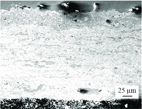 The Microstructure Of Wc Co Сr Coating Deposited By Detonation Spraying