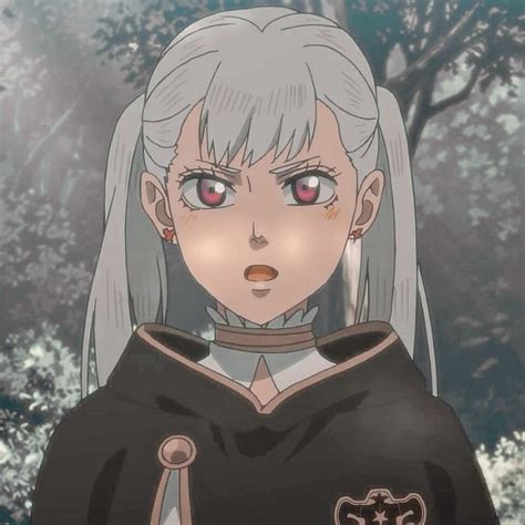 Meet Asta Yuno And Noelle Silva Iconic Characters In The Black Clover Universe