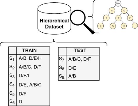 an example of a hierarchical classification dataset subdivided into