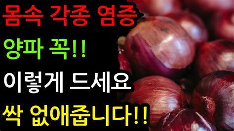 압도적인 효능의 양파를 먹기 가장 좋은 방법 알려드릴게요 만성염증 그런거 다 필요없고 양파 제발 좀 이렇게 드세요 몸속 독소 염증 싹 빼줍니다 Youtube
