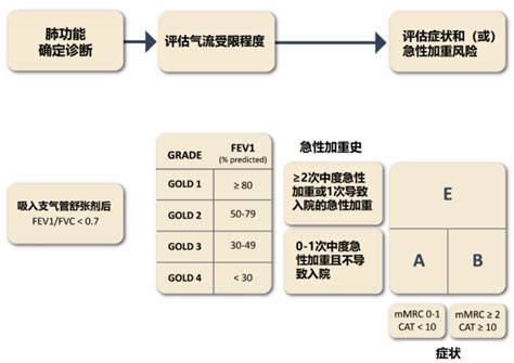 2023年gold慢性阻塞性肺疾病诊断、管理及预防全球策略更新要点解读 Medscicn