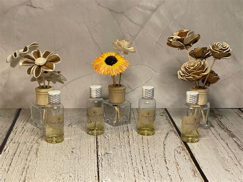 Replacement Diffuser Oil Home Décor Aromatherapy Diffuser Office