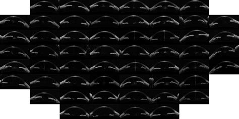 21 Image Map Obtained When Using Isomap And The Euclidean Distance