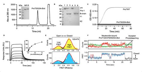 Figure 1 From A Novel Elisa Assay For The Detection Of Anti Prothrombin