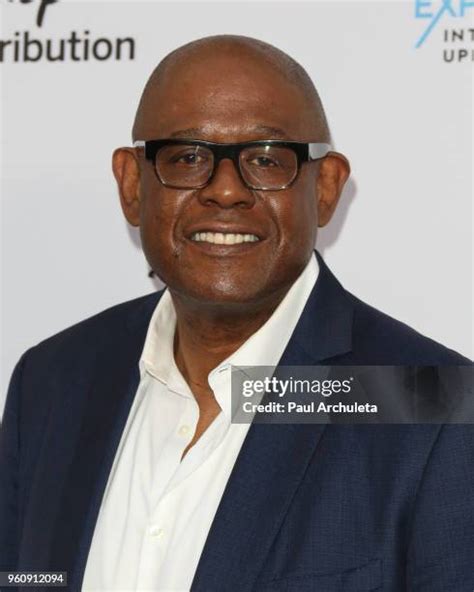 Paul Whitaker Photos And Premium High Res Pictures Getty Images