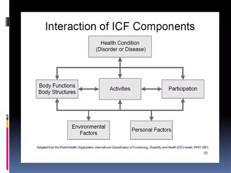 International Classification Of Functioning Disability And Health Pptx