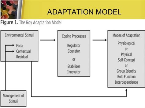 Conceptual Models