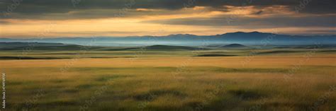 Guided Horizon Expansive Grassland Leading To Distant Sky 31 Banners And Landscape