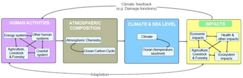 1 Sequential Characterization Of Iams Download Scientific Diagram