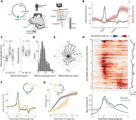 Distributed Task Related Neural Activity In A Variable Amplitude