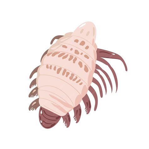 Unique Illustration Of An Isopod Showcasing Its Distinct Features And