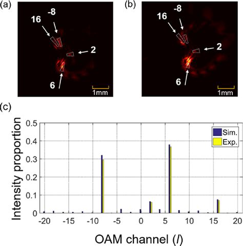 Simulated And Experimental Results When Multiplexed Oam Modes Are Download Scientific Diagram