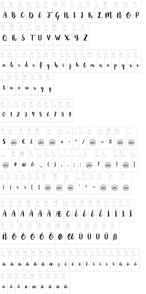 northern lights script font