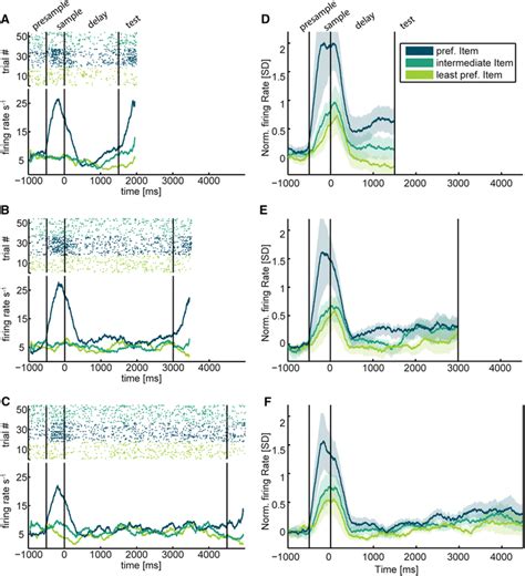 Sample Selective Delay Activity In The Ncl During Different Delay