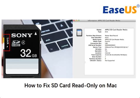 How To Fix SD Card Read Only Mac 5 Solutions