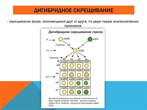 Гибридологический метод Взаимодействие между генами Наследственные свойства крови Хромосомная