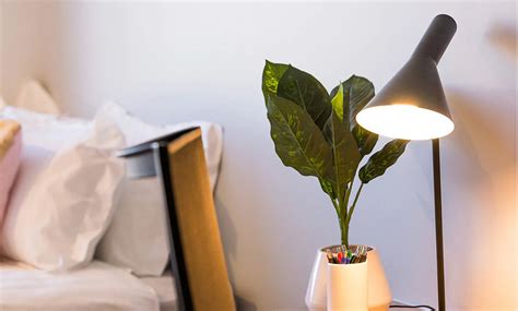 Ilsc Education Group New Pics