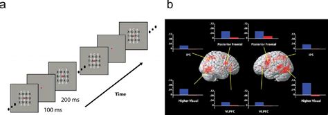 Figure 1 From Frontoparietal Activity With Minimal Decision And Control