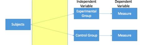 Experimental Design Research Methods Flashcards Quizlet