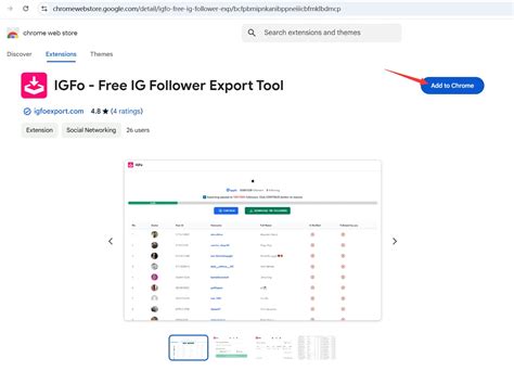 How to Export IG Following List - Easy Guide [2025] | SocialFo