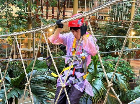 Treetop Adventure Rope Course