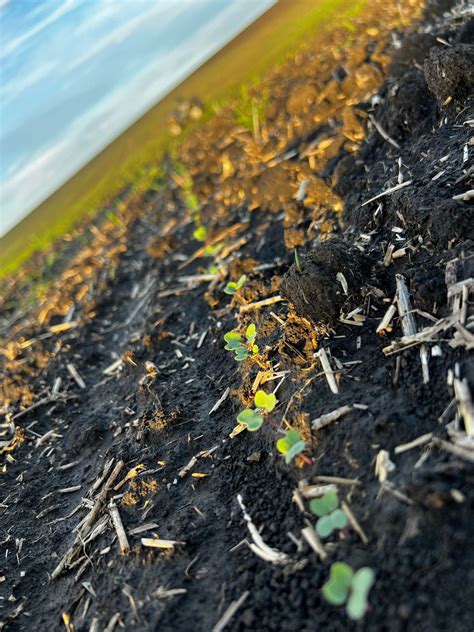 Tugui Cristi Posted On Linkedin