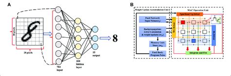 a multi layer perceptron architecture considered during