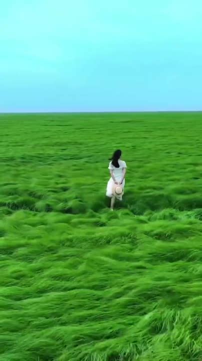 Sandhya Bindroo Posted On Linkedin