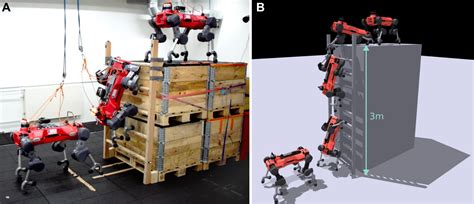 Design Of Adaptive Robots Robotic Systems Lab Eth Zurich
