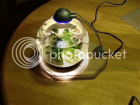 LIST Low Tech Mini Nano Pico Planted Tanks 50