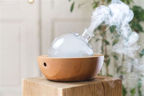 The Art Of Choosing Your Aromatherapy Diffuser Pranarom Canada Blog The Art Of Choosing Your Aromatherapy Diffuser Pranarom Canada Blog