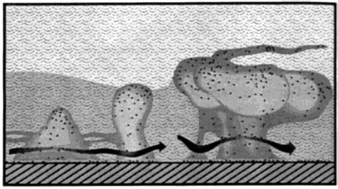 A Pictorial Depiction Of Bacterial Biofilm Formation Representing Its