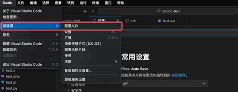 Vs Code 设置vscode打开设置 Csdn博客