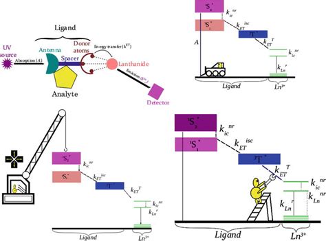 Coordination Compounds Of Lanthanides As Materials For Luminescent Turn