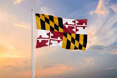 Your Justice Our Mission 3 000 Clients Helped