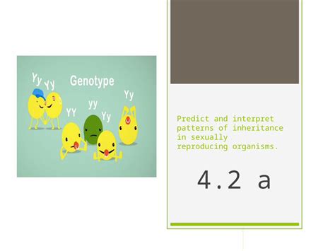 pptx predict and interpret patterns of inheritance in sexually