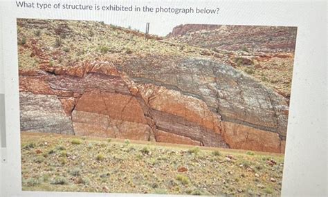 Solved What Type Of Structure Is Exhibited In The Photograph
