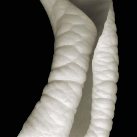 Doris Mitsch Darkness R For Sale At 1stdibs