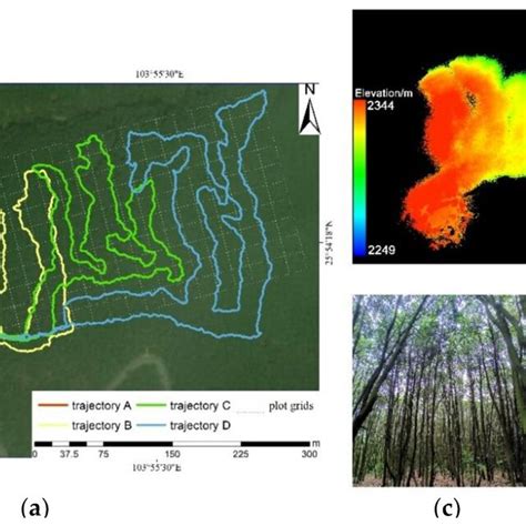 Situation In The Forest Plot And Lidar Data Acquisition Results A