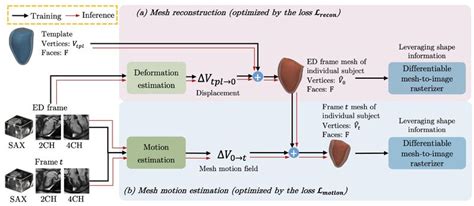 Ieee Transactions On Medical Imaging Tmi On Linkedin Early Access