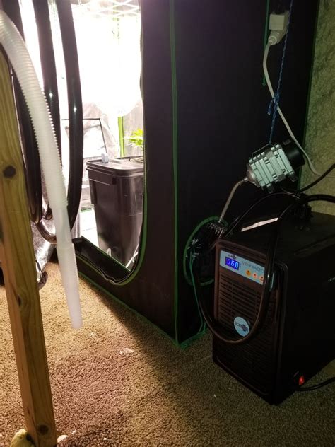 Rdwc System Advice Hydroponics Ilgm Growers Forum Free Cannabis Growing Community