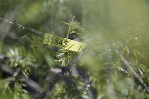 Эрдэнэт үйлдвэрийн хүний нөөцийн ажилтнууд “Хайрын төгөл” байгуулжээ