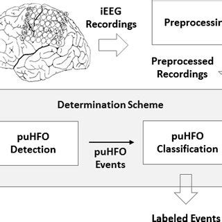 The Flowchart For Our HFO Detection And Classification Approach The Download Scientific